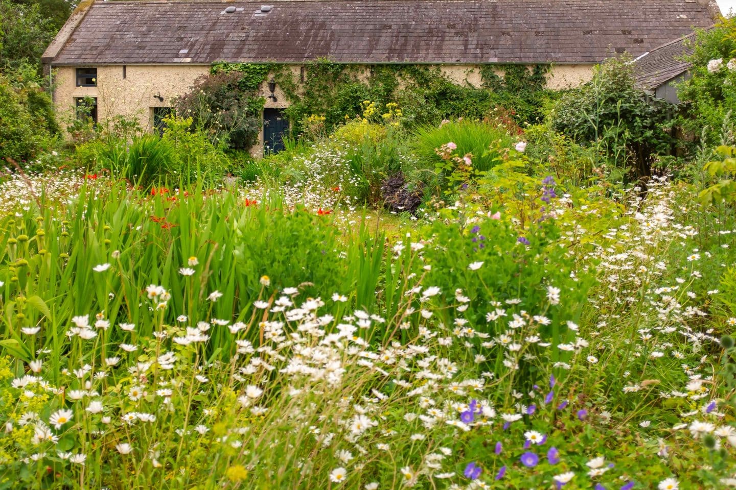 Ballintubbert House | A Sustainable Venue for Exclusive Hire